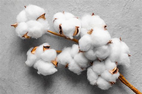 Premium Photo Top View Cotton