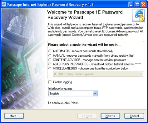 Internet Explorer Password Recovery Screenshots