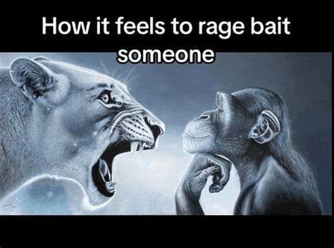 Rage Ragebait Meme Rage Ragebait Bait Discover And Share S