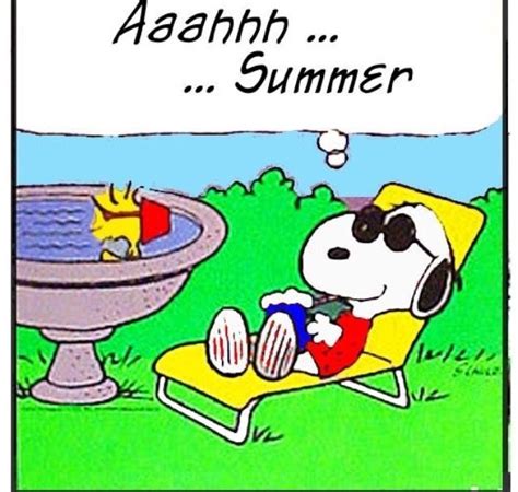 189 Best Peanuts Gang Summer 4th Of July Images On Pinterest Charlie