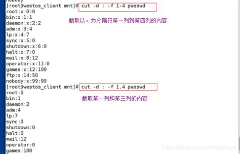 Shell基本命令以及正则表达式sh└┐ ┌┘中合 Csdn博客