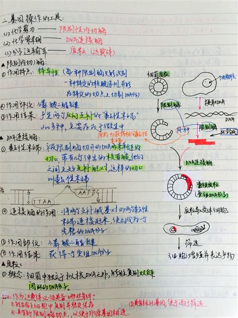 如何对手写笔记进行漂亮的排版？ 知乎