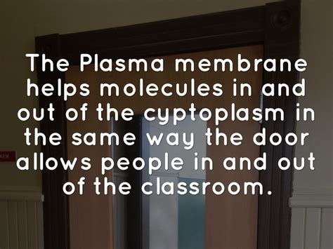 Cell Project By Ryan King