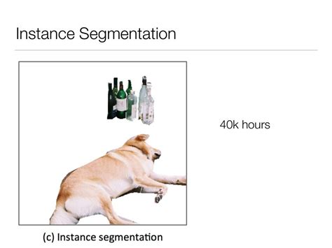 Coco Dataset