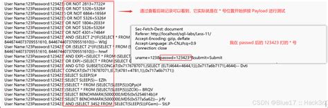 网安工具 Sqlmap 漏洞探测 —— Post 型注入sqlmap Post Csdn博客