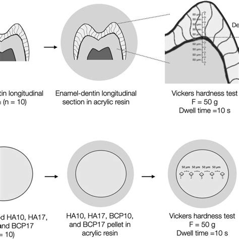 Vickers Microhardness Test Diagram Vickers Microhardness Testing Of