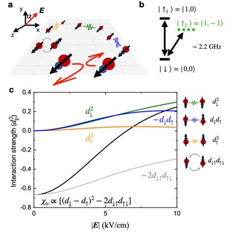 A 2d Itinerant Spin System With Polar Molecules A Molecular Spins Are Download Scientific