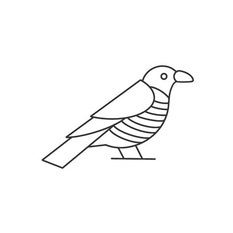 How To Draw A Cuckoo In (9) Easy Steps For Kids