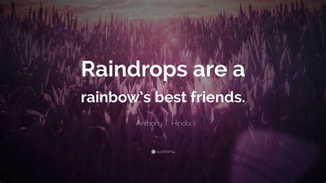 Anthony T Hincks Quote Raindrops Are A Rainbows Best Friends”