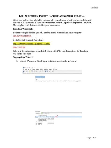 Lab Wireshark Packet Capture Assignment Tutorial Pdf Ip Address