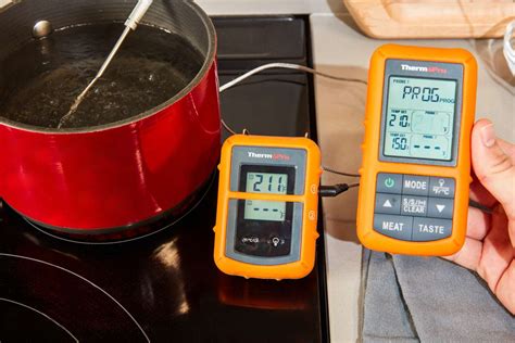 Thermopro Tp20 Wireless Meat Thermometer Review