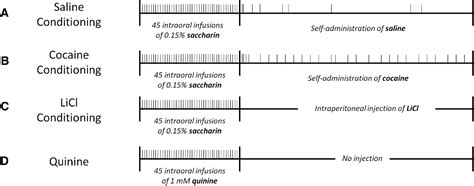 Figure 1 From A Neuronal Ensemble In The Rostral Agranular Insula
