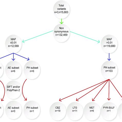 Methodological Scheme For Filtering Genomic Variants In Sjs Ten