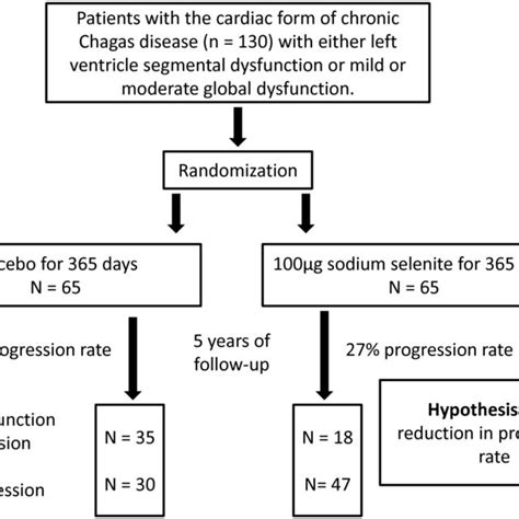 Randomization Hypothesis And Primary End Point Download Scientific