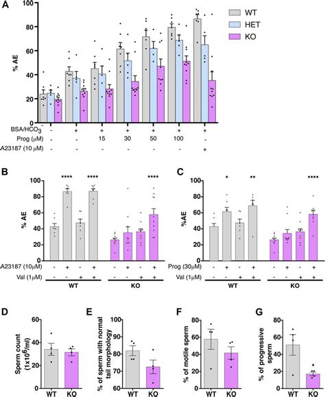 Frontiers Membrane Potential Hyperpolarization A Critical Factor In