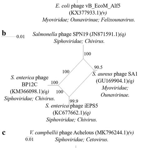 Simplot Determined Recombination Hotspots Across The Ssdna Binding