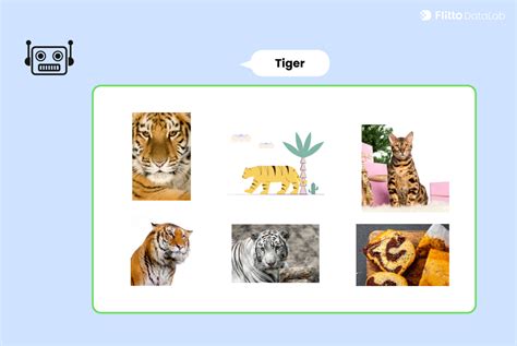 What Is Underfitting And Overfitting Easy Example Flitto Datalab