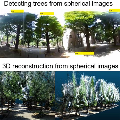Automatic Tree Detection From Three Dimensional Images Reconstructed From 360° Spherical Camera