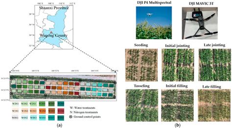 Combining Uav Multispectral And Thermal Infrared Data For Maize Growth