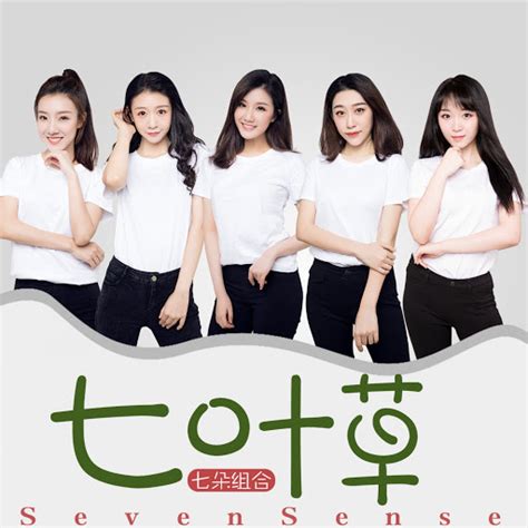 七叶草 Youtube Music