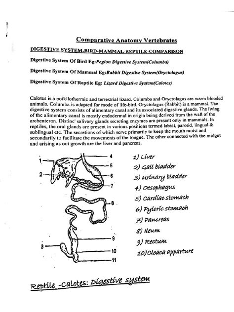 E Pathshala File 402642415007 Pdf