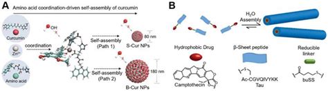 Peptide Modulated Self Assembly As A Versatile Strategy For Tumor