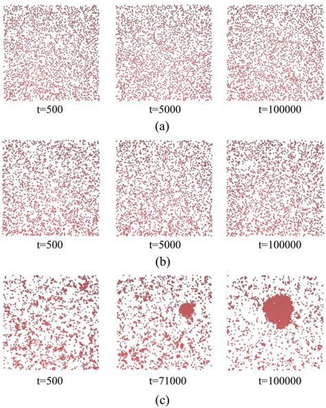 Snapshots Of Assembled Phases Of Dodecanethiol Capped Au Ncs Of Core