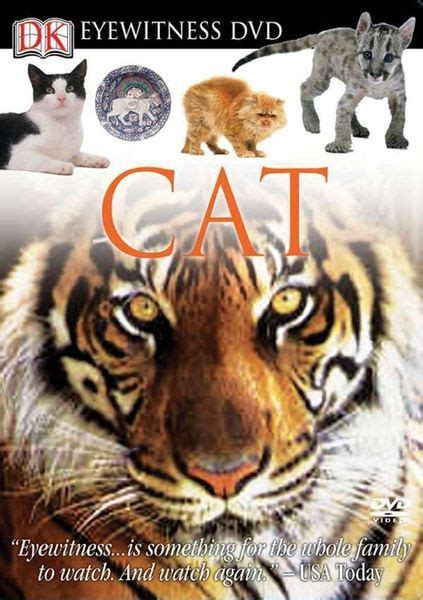 Eyewitness Dvd Cat Von Dk Publishing Software Orell Füssli Dvd