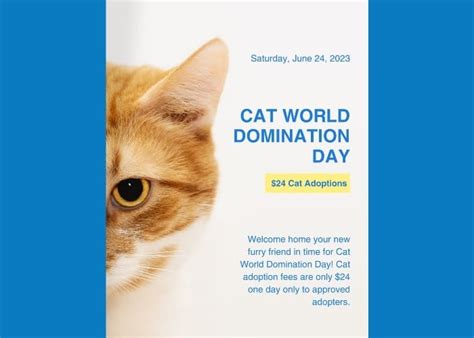Cat World Domination Day Winchester Area Spca