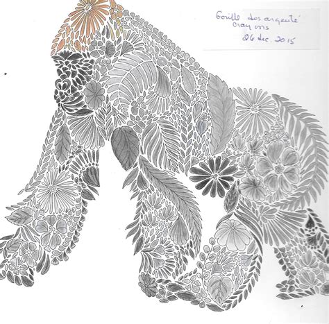 Millie Marotta Gorille0002 Millie Marotta