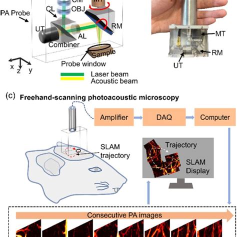 a schematic of freehand scanning photoacoustic probe a mini galvo