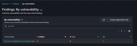 automated workload discovery and vulnerability scanning with amazon