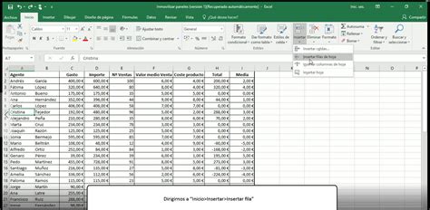 Insertar Filas Y Columnas En Excel