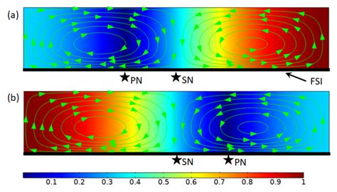 Outer Acoustic Streaming Flow Driven By Asymmetric Acoustic Resonances