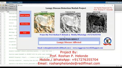 Lumpy Disease Detection Using Image Processing Lumpy Skin Classification Using Matlab Project