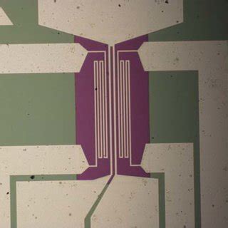 Overview Of The Sensor Chip Download Scientific Diagram