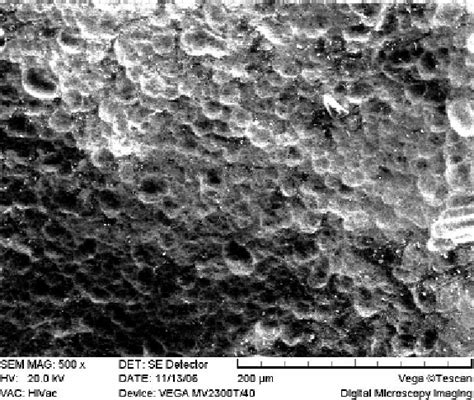 A Microstructure Of The Glass Ceramic In The Absence Of The Metal