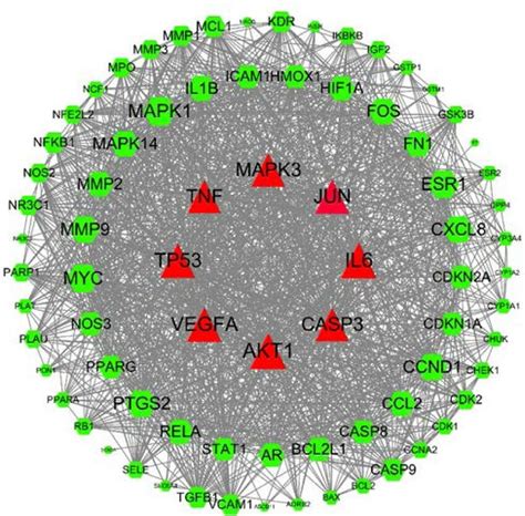 Overlapping Target Ppi Network Diagram The Red Triangle Represents The