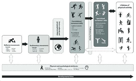 Development Of Foundational Movement Skills Supporting Physical Download Scientific Diagram
