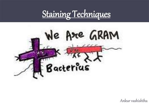 Enterobacteriaceae Enterobacter And Their Biochemical Test Docx