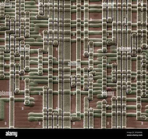 Coloured Scanning Electron Micrograph Sem Of The Structures Etched And Deposited On The