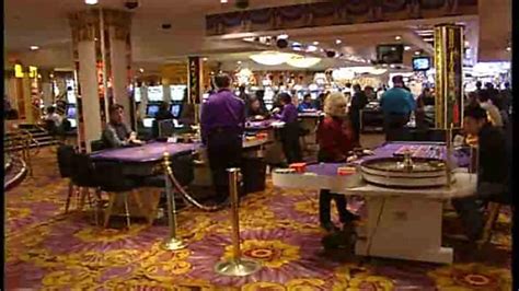 Las Vegas Babes Porn Videos