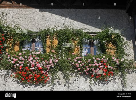 Germany Bavaria Garmisch Partenkirchen Fruhling Strasse Decorated
