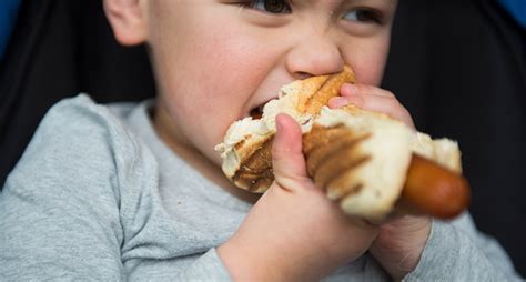 8 Sidor Nya Råd Om Mat