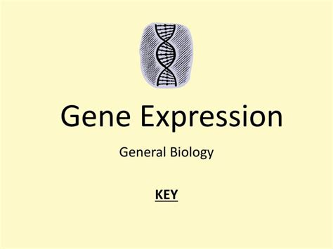 Ppt Gene Expression Powerpoint Presentation Free Download Id2664683