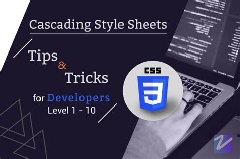 animating web designs with keyframes and transitions zaions