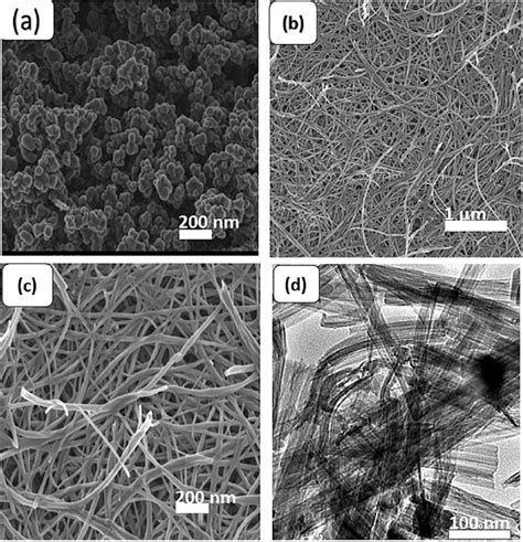 A Anatase Pristine Tio 2 Powder Micrograph Sem At High Download Scientific Diagram
