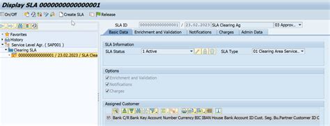 Sap S 4hana Finance Advanced Payment Management Apm In Integration With Sap Multi Bank