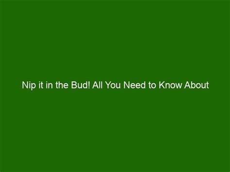 nip it in the bud all you need to know about colon cancer health and