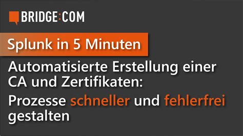 Certification Authority Ca Für Test Umgebungen Mit Bash Script